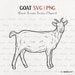 Goat SVG Clipart. Goat Vector Line Art. Farm Animal Drawing. Cute Goat ...