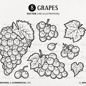 Grape SVG Clipart Bundle. 8 Grapes Vector Line Art. Grape Bundle Illustration. Grape Plant ...