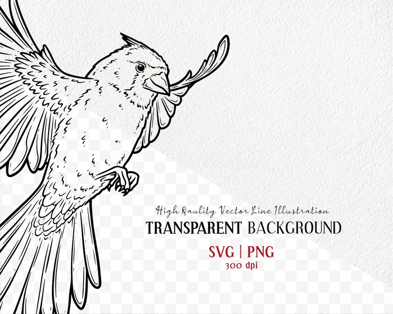 Cardinal Vector Clipart Bundle. Little Red Birds. Flying Birds Outline ...