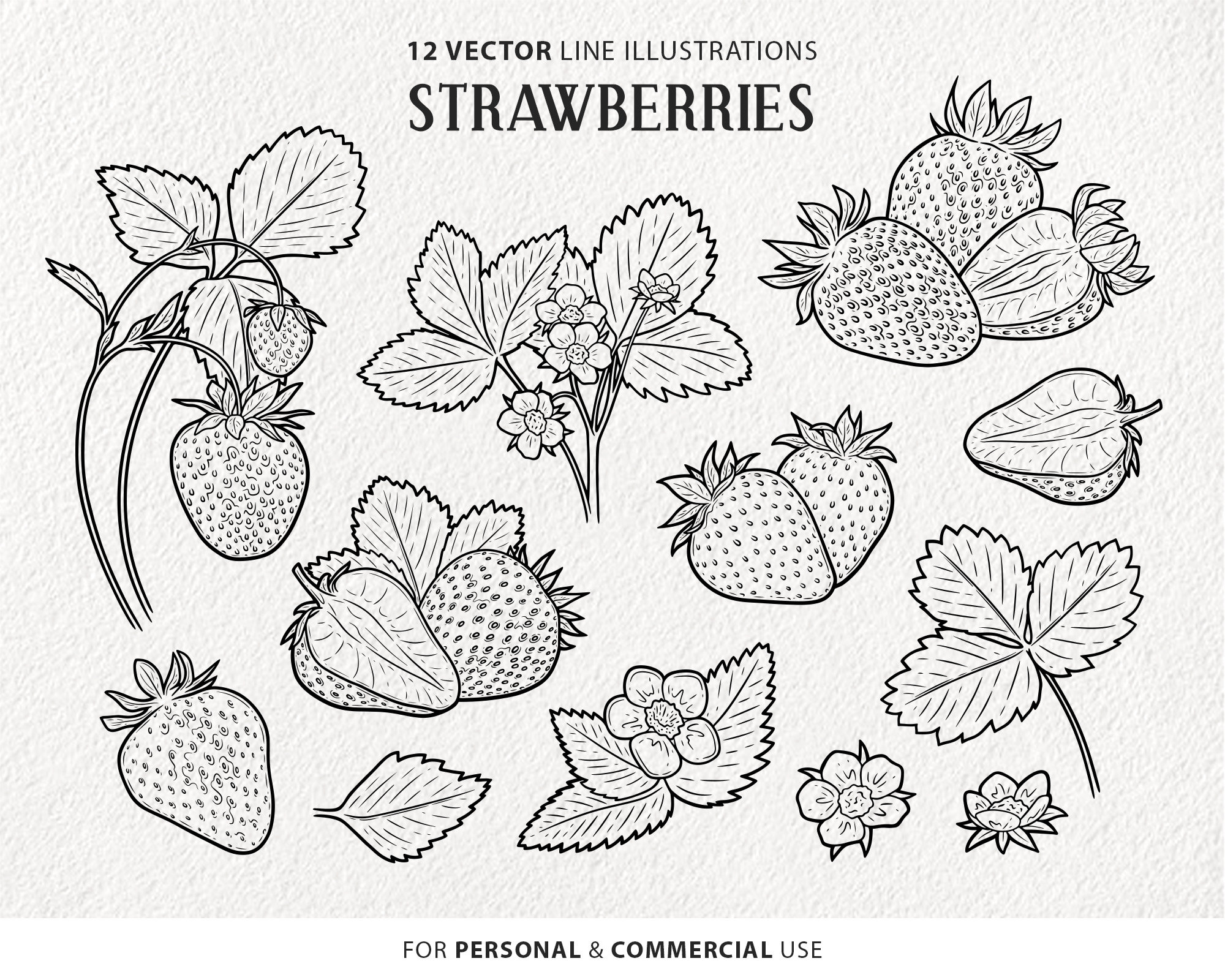 Strawberry SVG Clipart Bundle. 12 Vector Strawberries. - Etsy