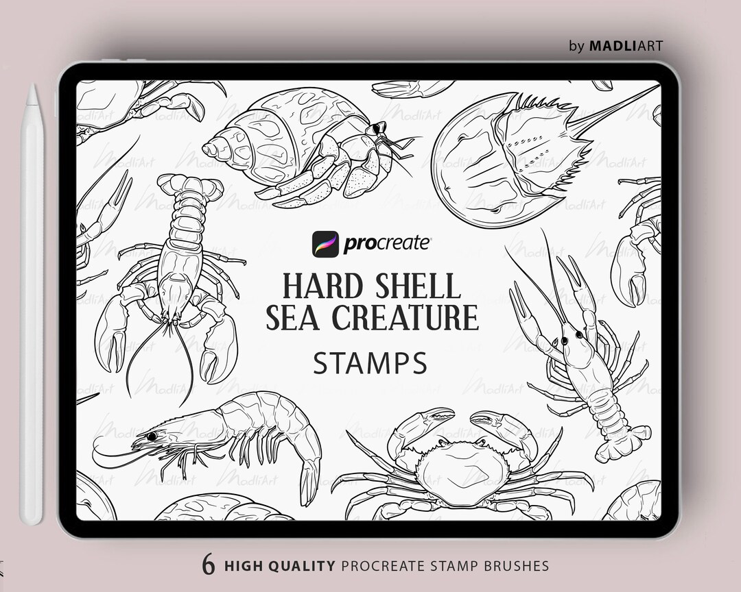 6 Procreate Hard Shell Sea Creature Stamps. Marine Animal - Etsy