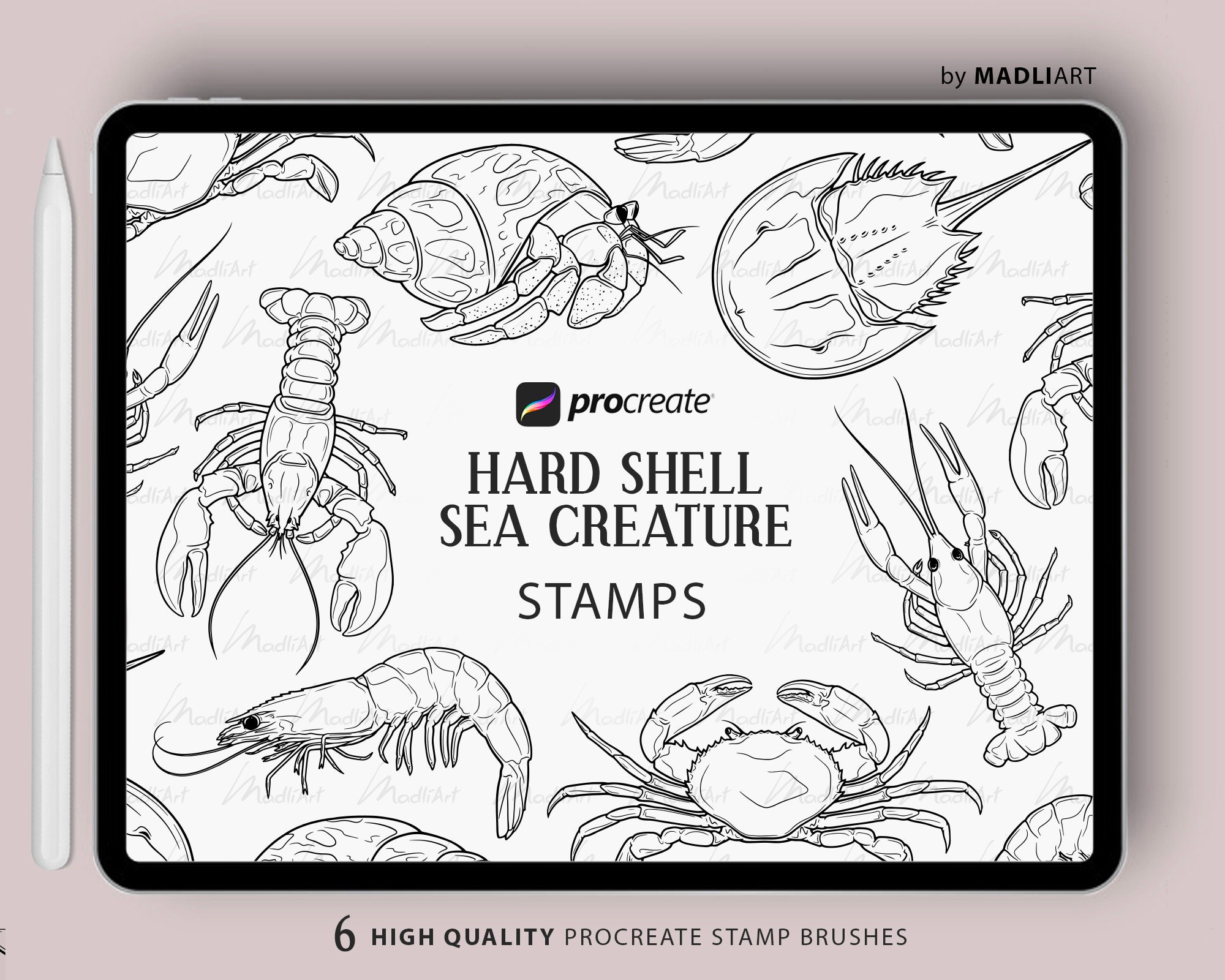 6 Procreate Hard Shell Sea Creature Stamps. Marine Animal - Etsy