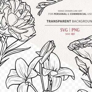 Spring Flower SVG Clipart Bundle. 8 Vector Botanical Line - Etsy UK