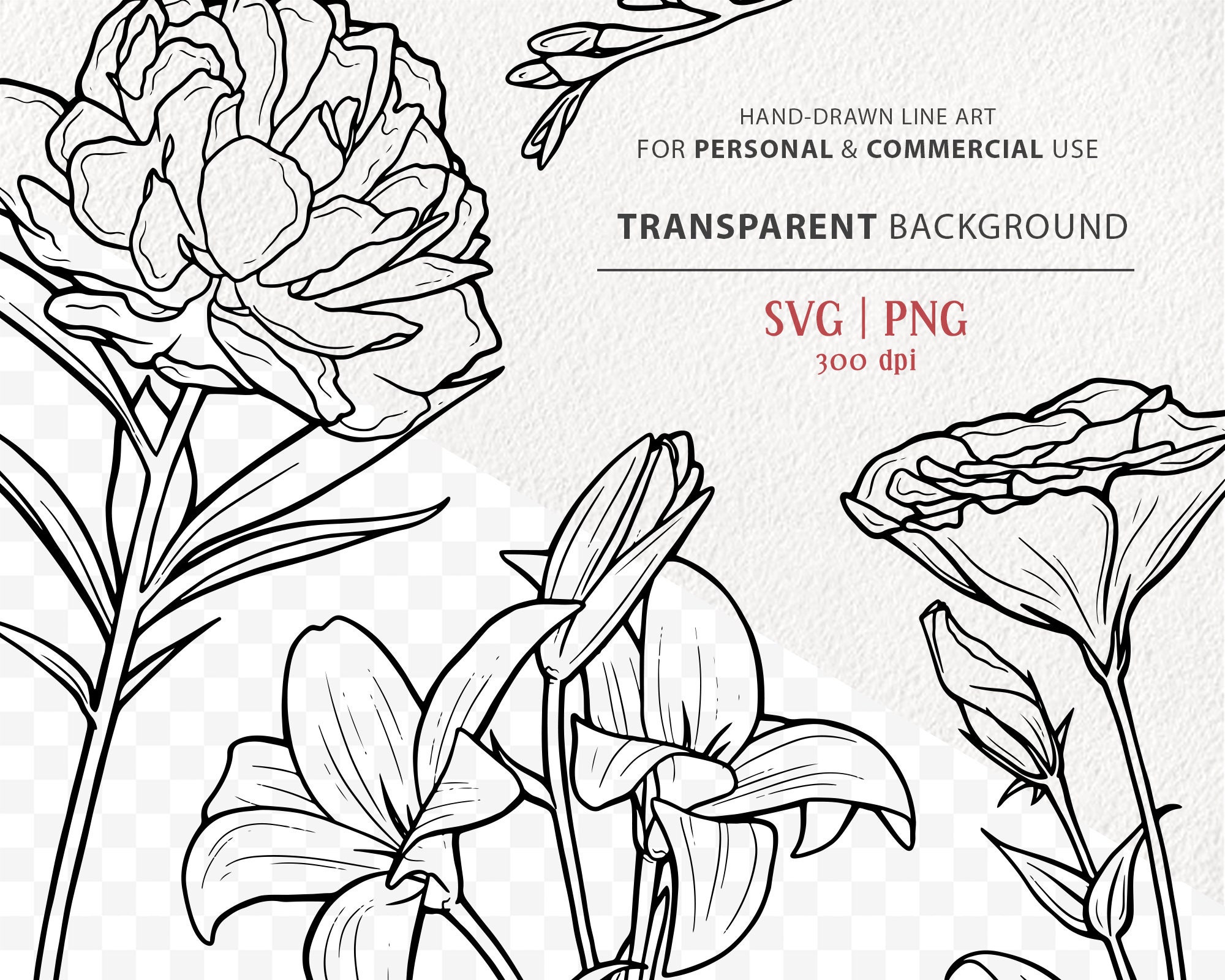 Spring Flower SVG Clipart Bundle. 8 Vector Botanical Line - Etsy UK