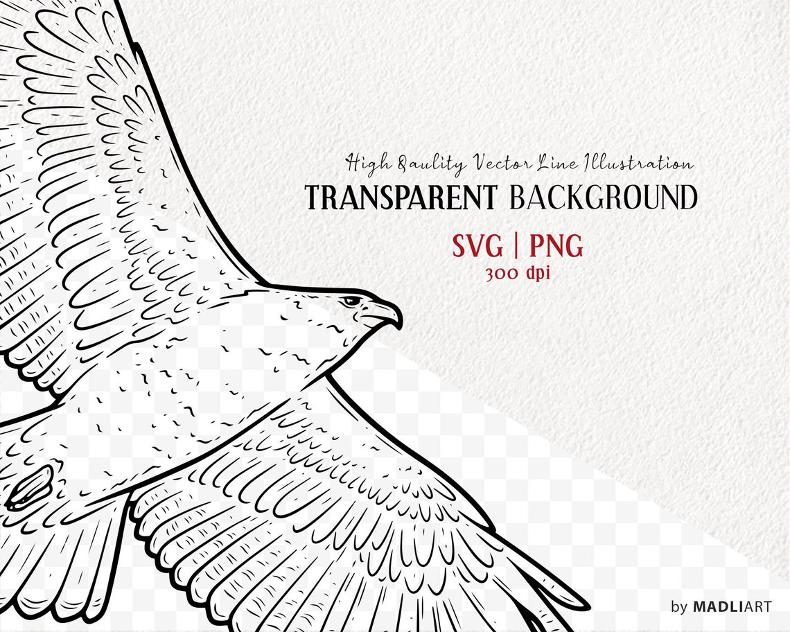 Red-tailed Hawk SVG Clipart Bundle. Eagle Vector Line Drawings. Bird of ...