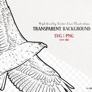 Red-tailed Hawk SVG Clipart Bundle. Eagle Vector Line Drawings. Bird of ...