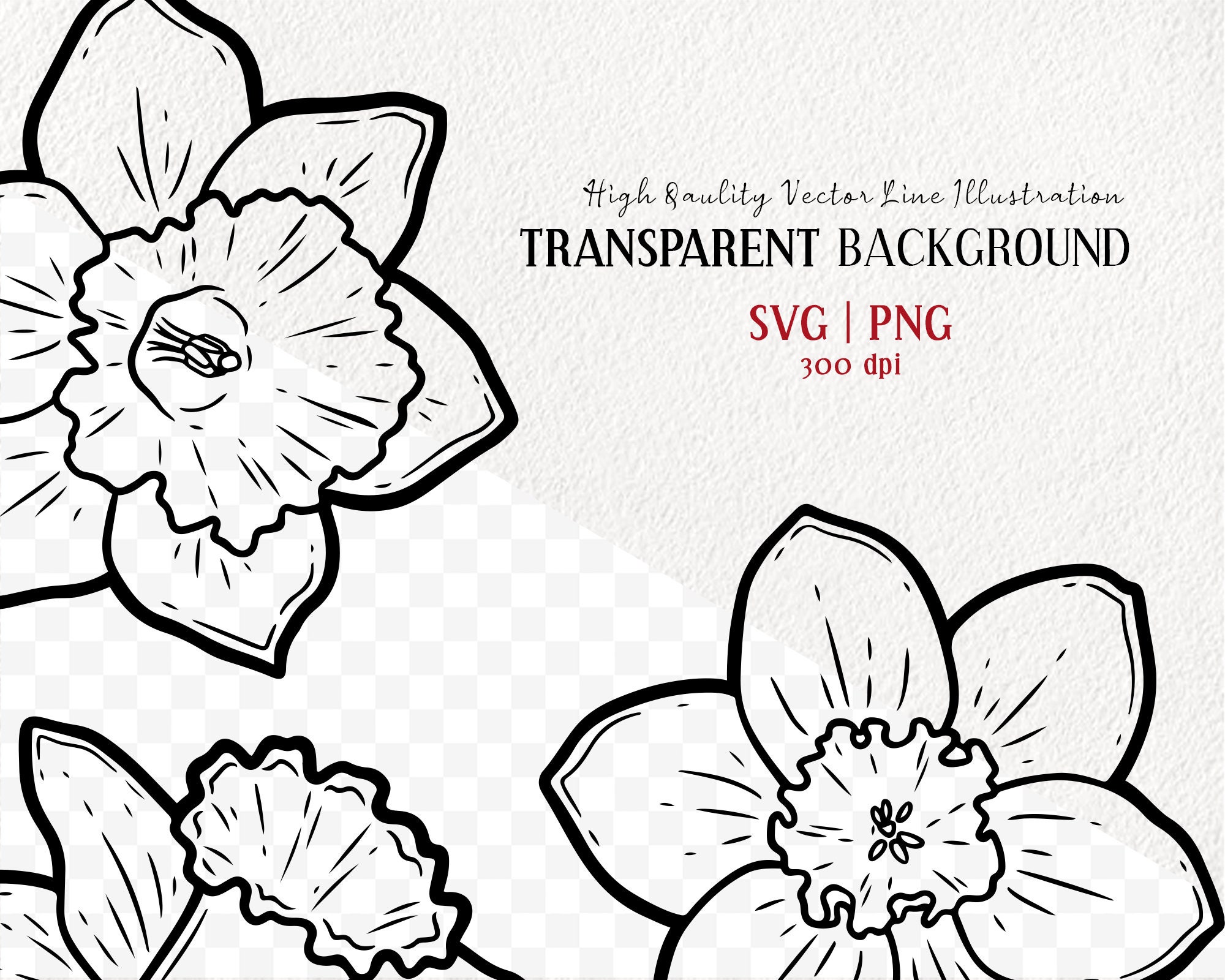 3 Daffodils SVG Clipart. Spring Daffodil Vector Blossoms. Daffodil ...