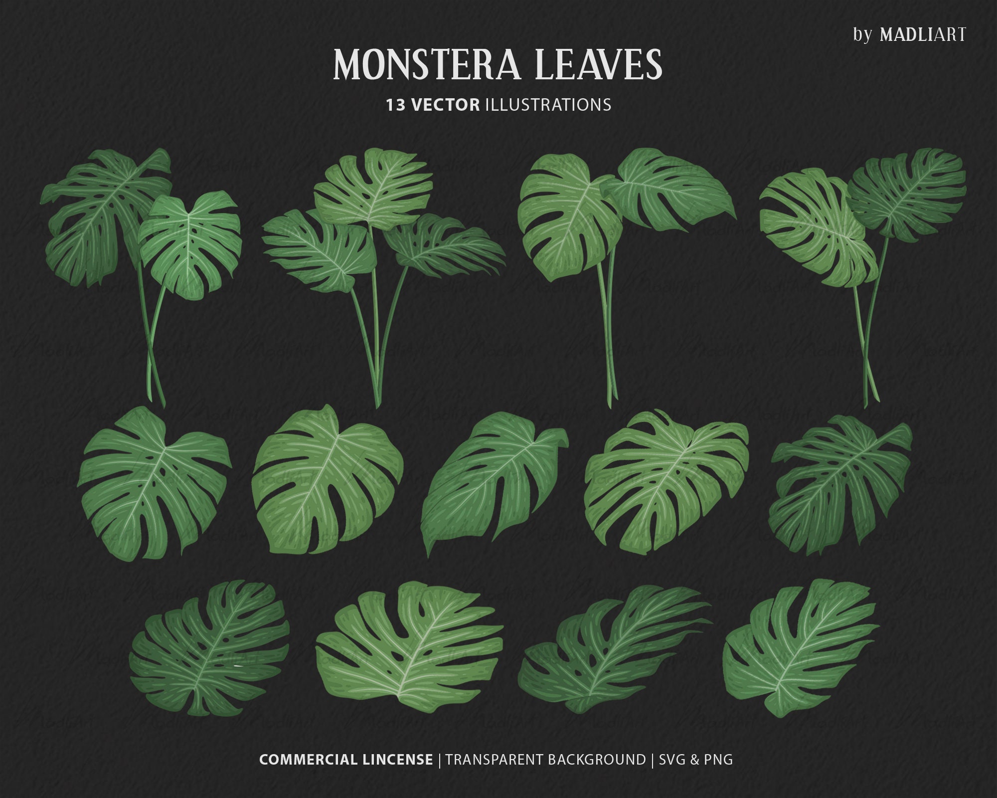 Monstera Leaf SVG Clipart Bundle. 13 Tropical Leaves. Botanical Vector ...