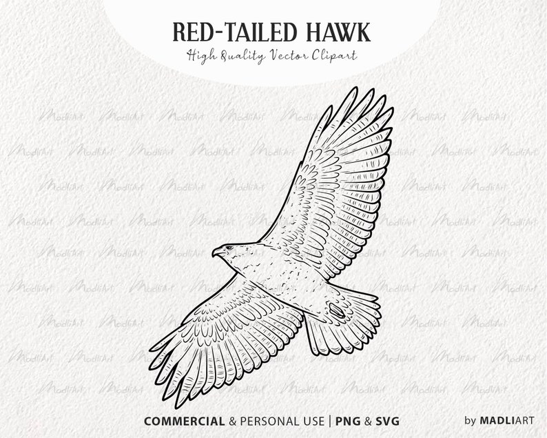 Red-tailed Hawk SVG Clipart Bundle. Eagle Vector Line - Etsy