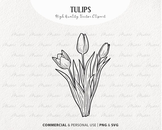 Black And White Tulips Clipart