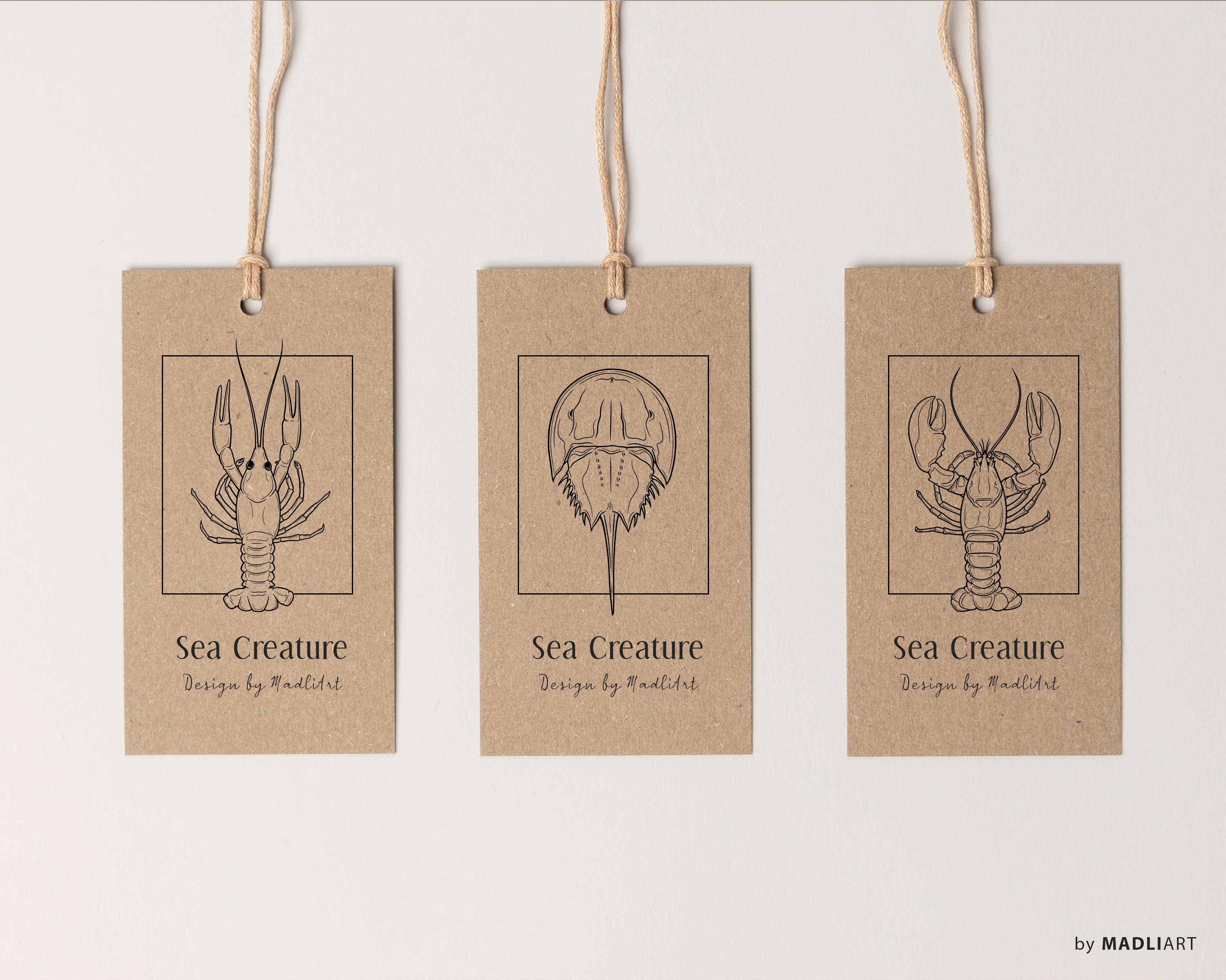 6 Procreate Hard Shell Sea Creature Stamps. Marine Animal - Etsy