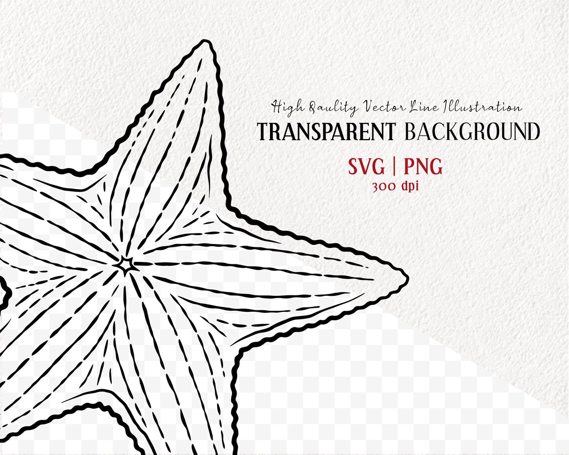 Starfish SVG Clipart. Ocean Seashell Vector Line Drawing. - Etsy