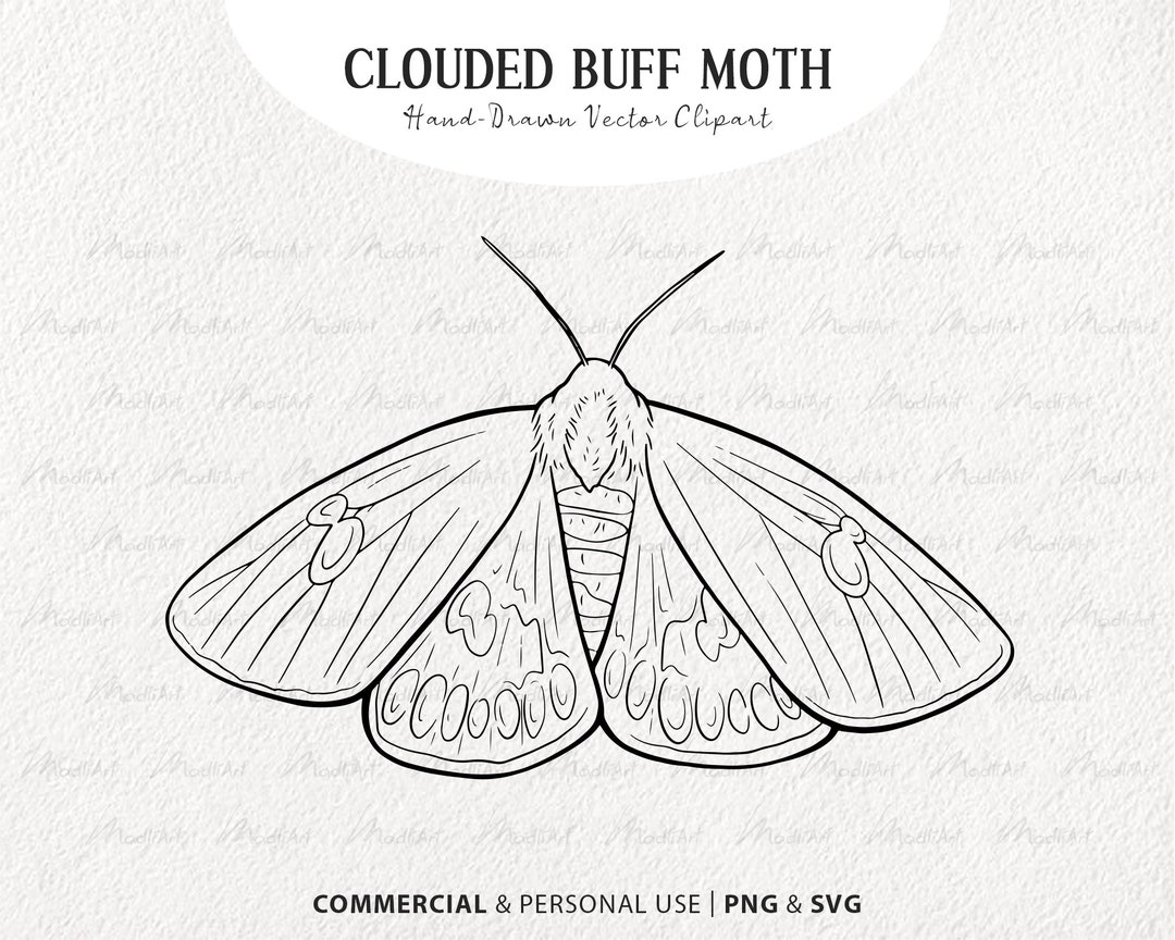 Clouded Buff Moth SVG Clip Art. Night Butterfly Vector Line Art. Moth ...