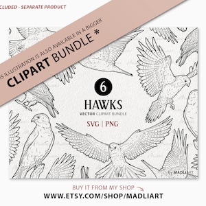Red-tailed Hawk SVG Clipart Bundle. Eagle Vector Line Drawings. Bird of ...