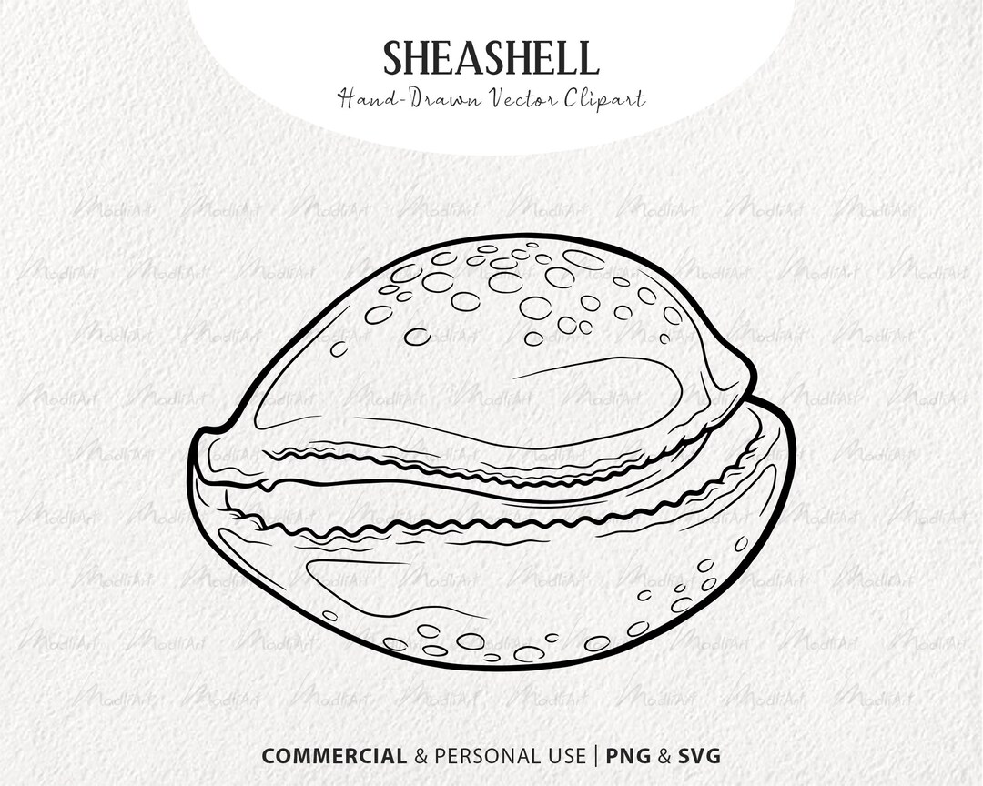 Seashell SVG Clipart. Ocean Themed Vector Line Drawing. Nautical Ocean ...