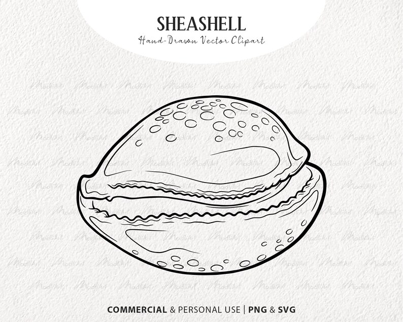 Seashell SVG Clipart. Ocean Themed Vector Line Drawing. - Etsy