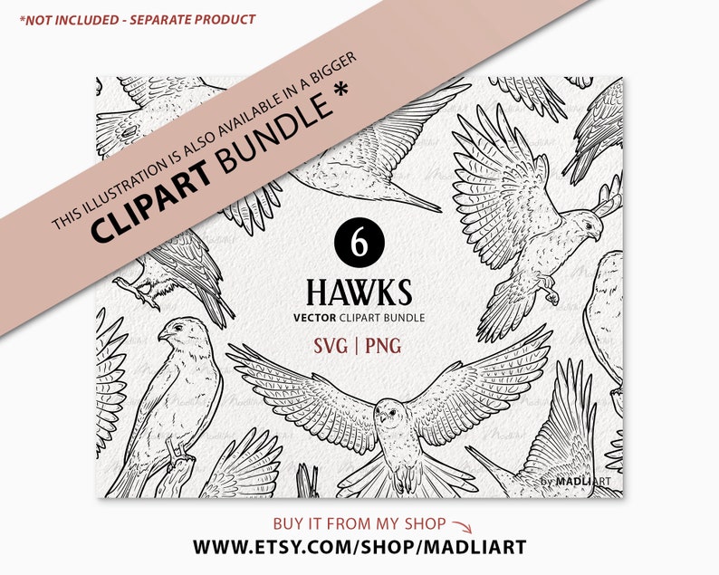 Common Buzzard SVG Clipart Bundle. Hawk SVG Bird Outline. Eagle Vector ...
