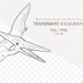 Pterosaur Dinosaur SVG Clipart. Flying Dinosaur Vector Line Art ...