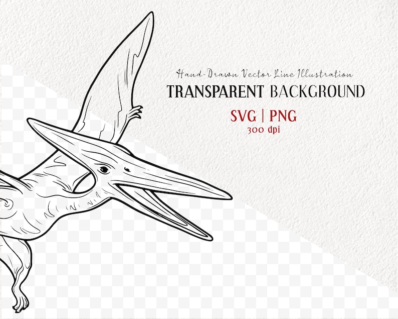 Pterosaur Dinosaur SVG Clipart. Flying Dinosaur Vector Line Art ...