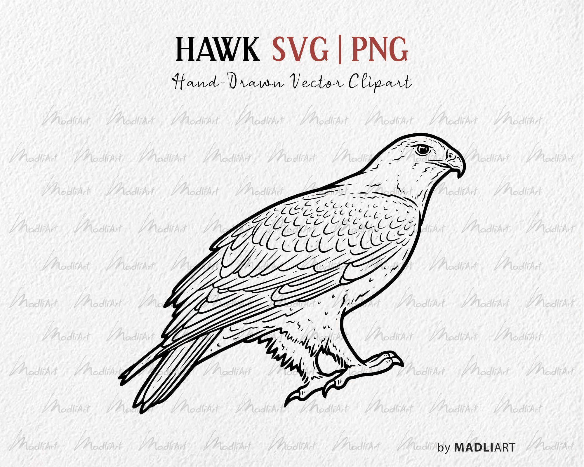Hawk Clipart Black And White