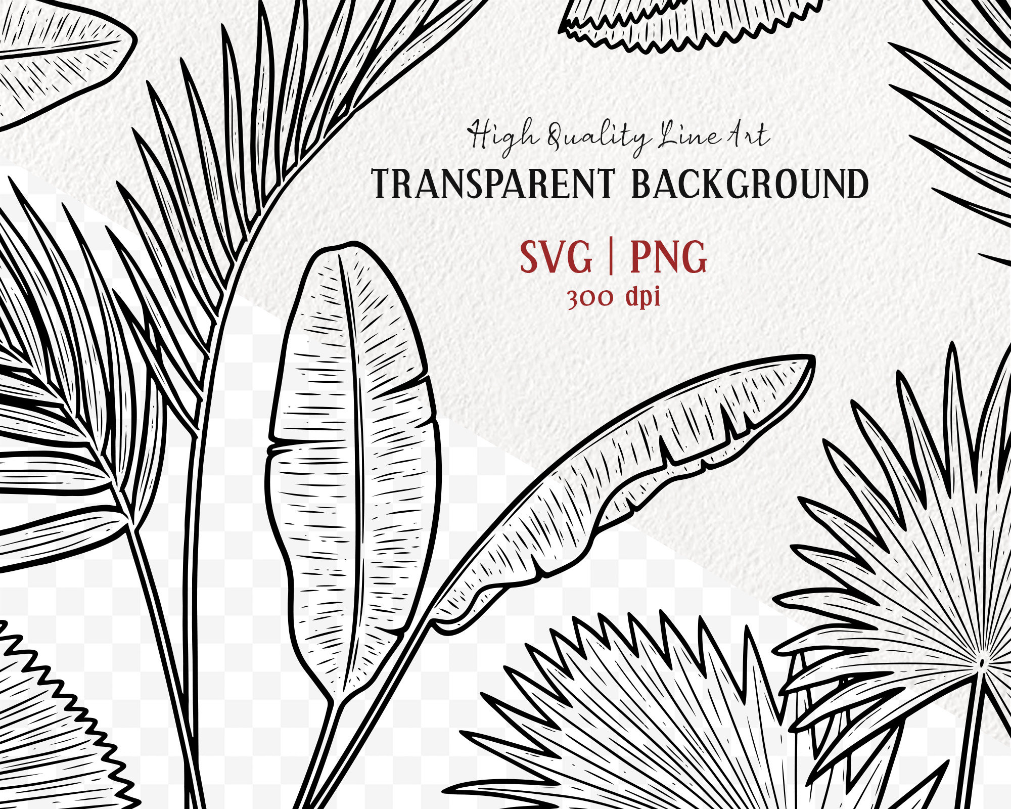 Palm Leaves SVG Clipart Bundle. 14 Vector Jungle Leaves. Tropical ...