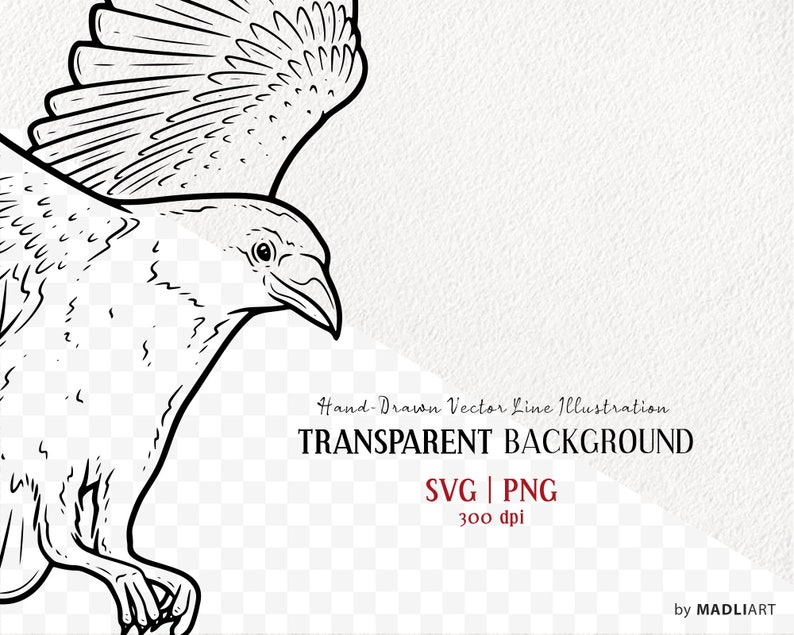 Raven SVG Clipart. Crow Vector Line Drawing. Halloween Crow - Etsy