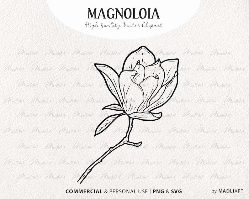 Magnolia SVG Clipart. Magnolia Blossom Vector Illustration. Magnolia ...