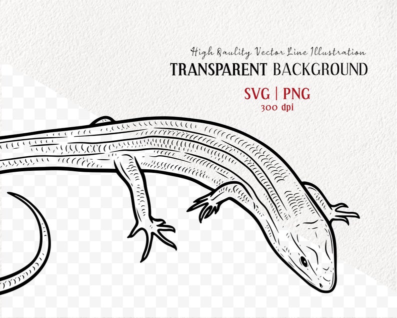 Western Skink SVG Clipart. Snake Like Lizard Vector Drawing. Blue ...