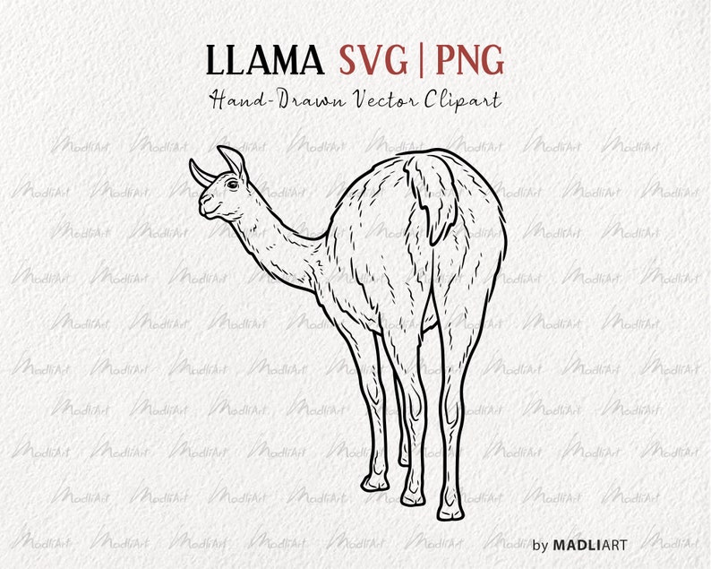 Llama SVG Clipart. Alpaca SVG Line Drawing. Llama Vector Drawing. Llama ...