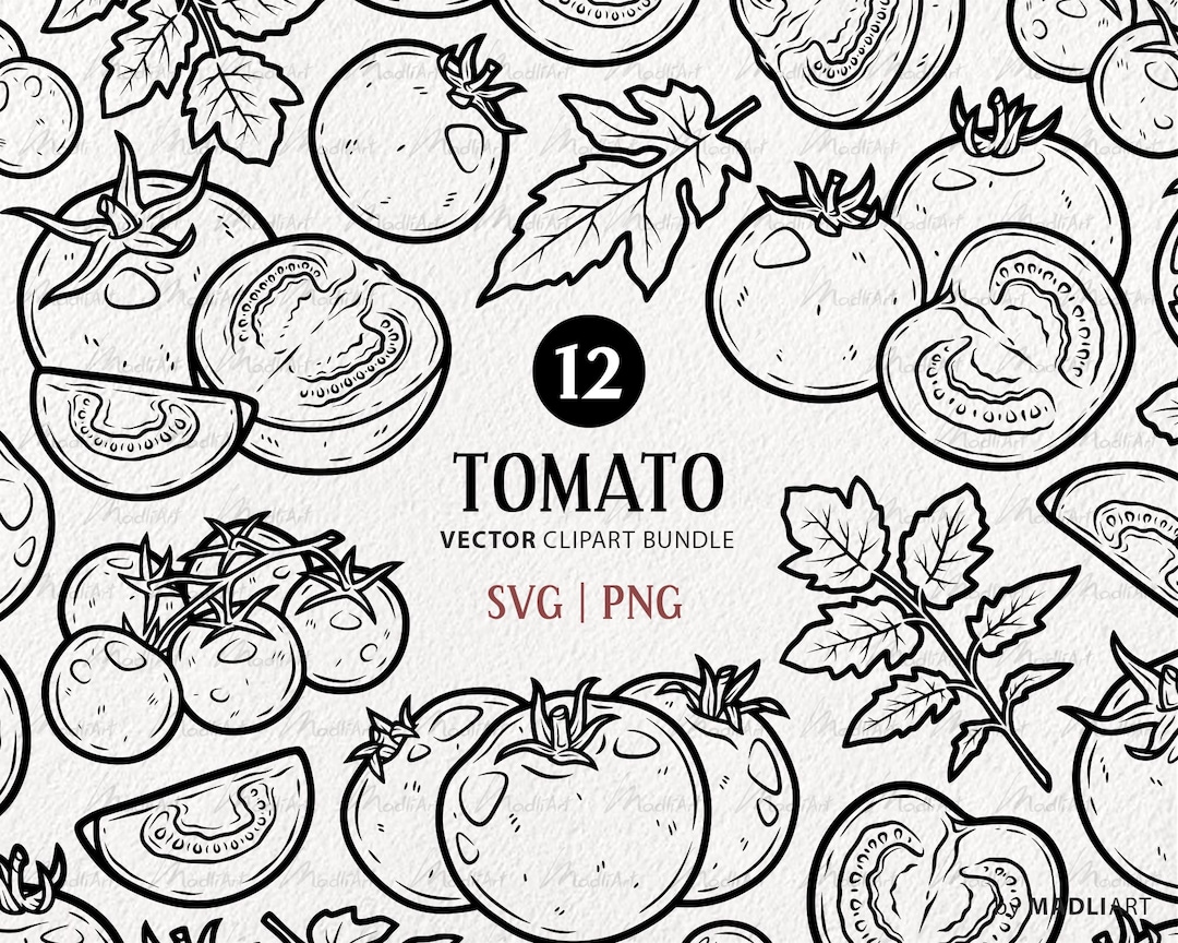 Tomato SVG Bundle. 12 Tomato Vector Line Drawings. Tomato Vegetable ...
