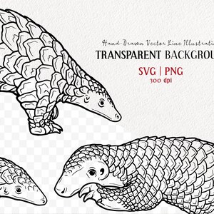 Pangolin Vector Clipart. Digital Endangered Animal Artwork ...