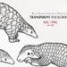 Pangolin Vector Clipart. Digital Endangered Animal Artwork ...