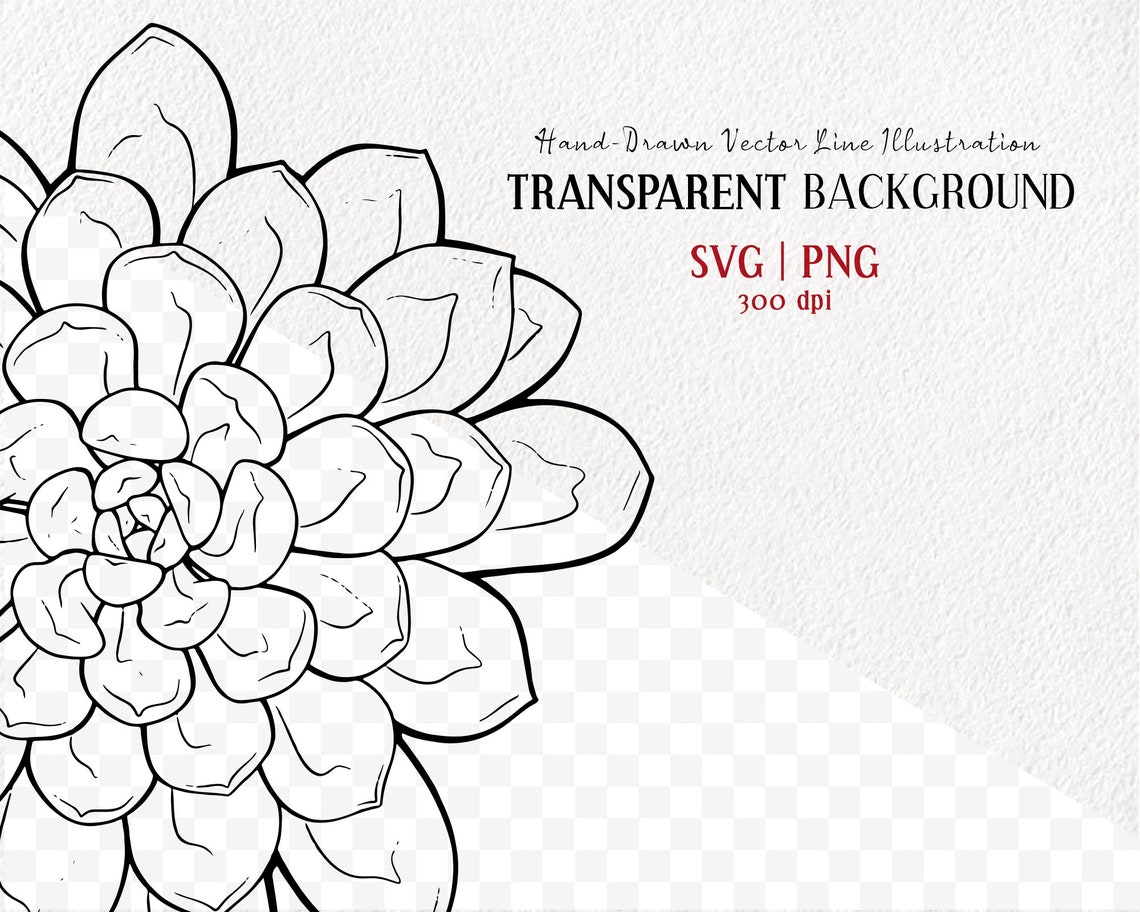 Bashful Succulent SVG Clipart. Desert Plant Vector Artwork. - Etsy