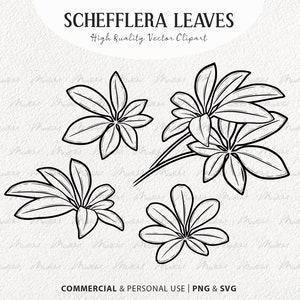 4 Tropical Schefflera Leaves Clipart Set. Jungle Plant Vector Art ...