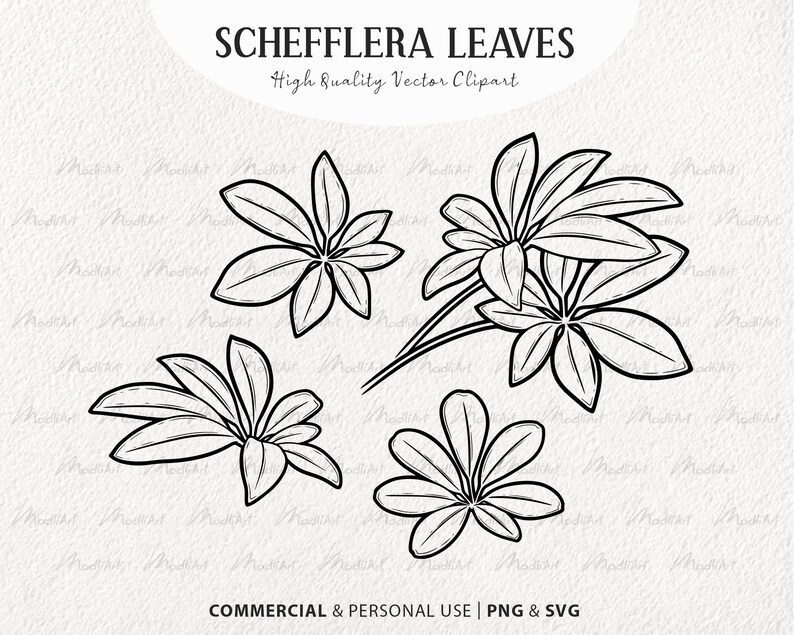 4 Tropical Schefflera Leaves Clipart Set. Jungle Plant Vector Art ...