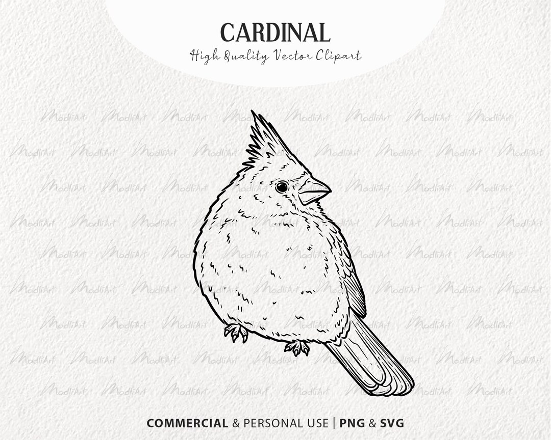 Cardinal Vector Clipart Bundle. Little Red Birds. Flying Birds Outline ...