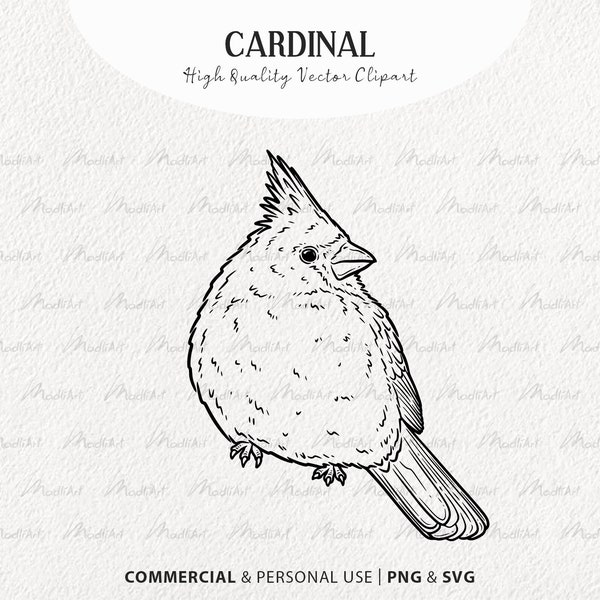 Cardinal Line Drawing Svg - Etsy