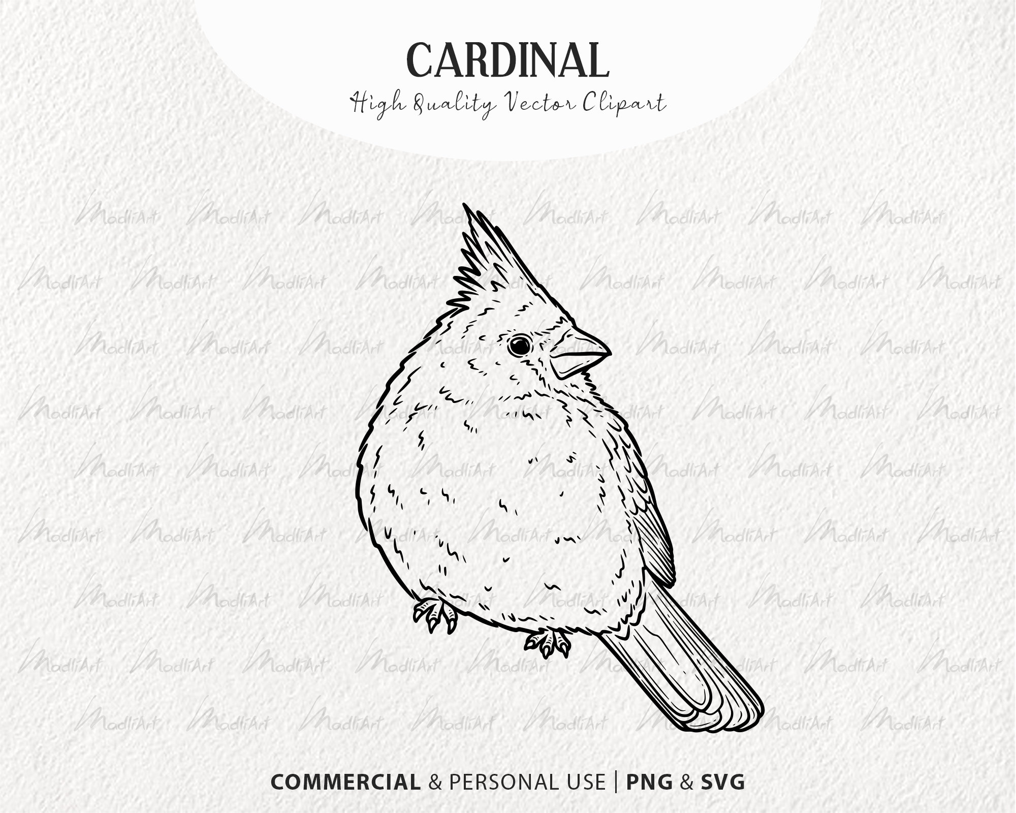 Cardinal Vector Clipart Bundle. Little Red Birds. Flying Birds Outline ...