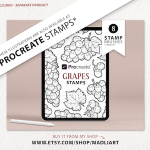 Grape SVG Clipart Bundle. 8 Grapes Vector Line Art. Grape Bundle Illustration. Grape Plant ...