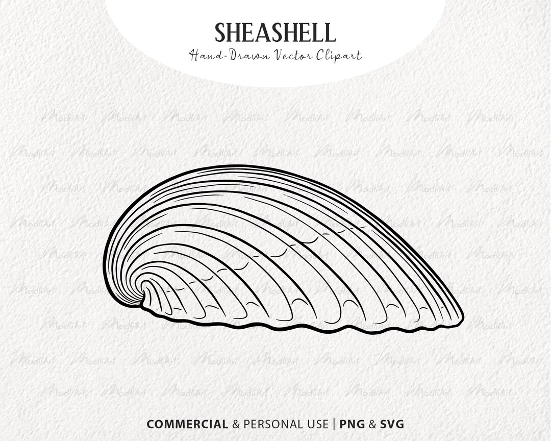 Seashell SVG Clipart. Ocean Themed Vector Line Drawing. Nautical Ocean ...