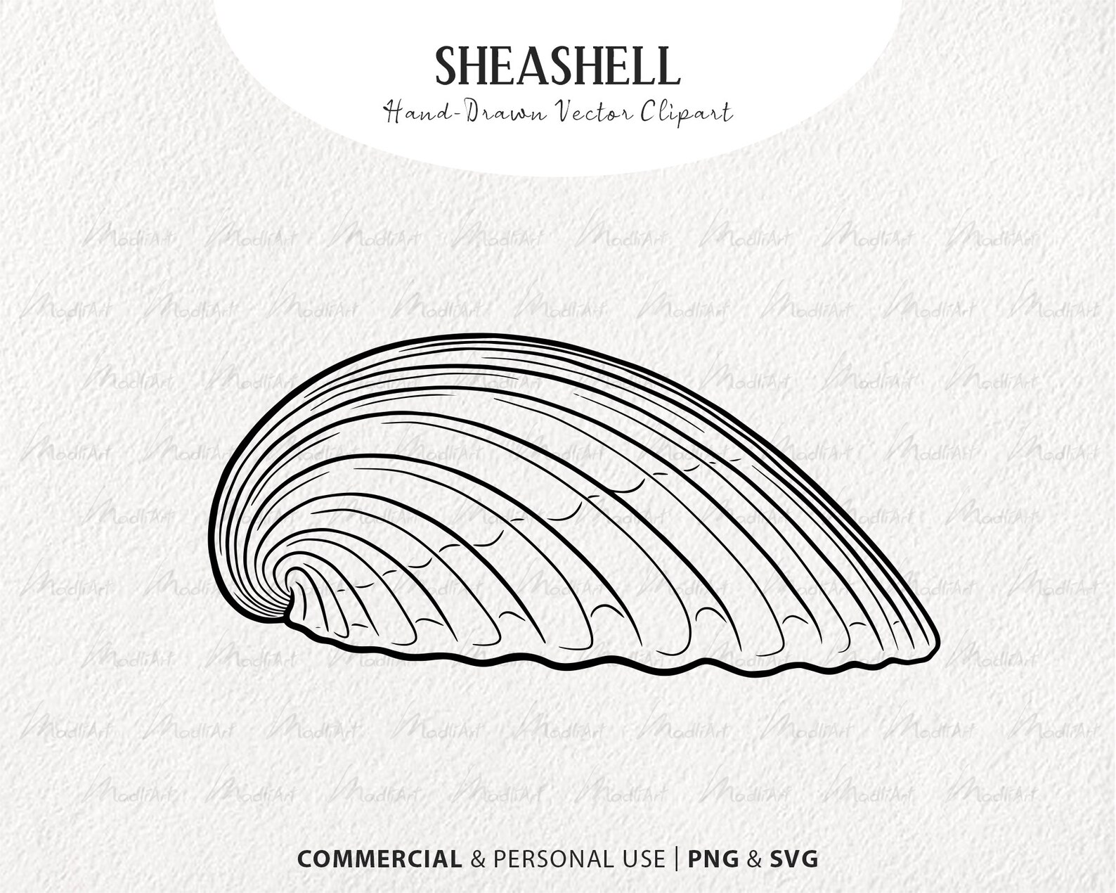 Seashell SVG Clipart. Ocean Themed Vector Line Drawing. - Etsy