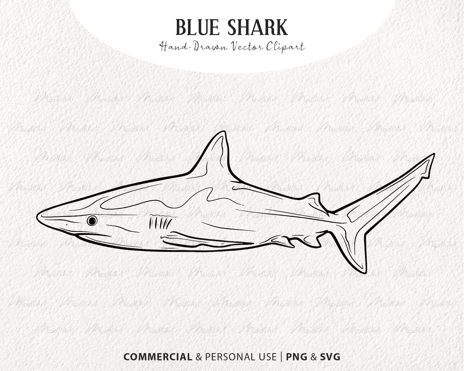 Blue Shark Vector Clipart. Hand-drawn Shark Line Drawing. Ocean Animals ...