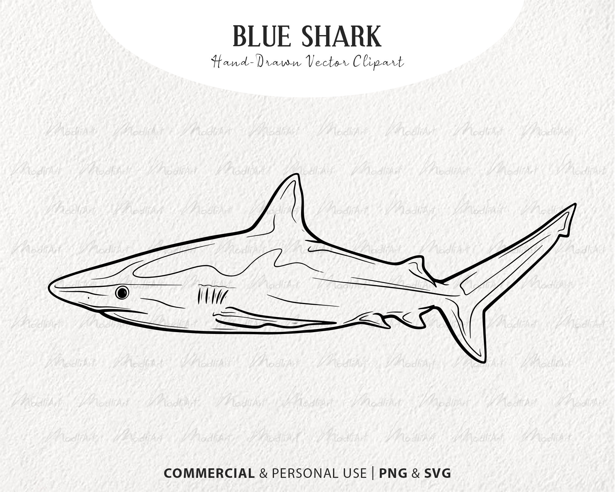 Blue Shark Vector Clipart. Hand-drawn Shark Line Drawing. Ocean Animals ...