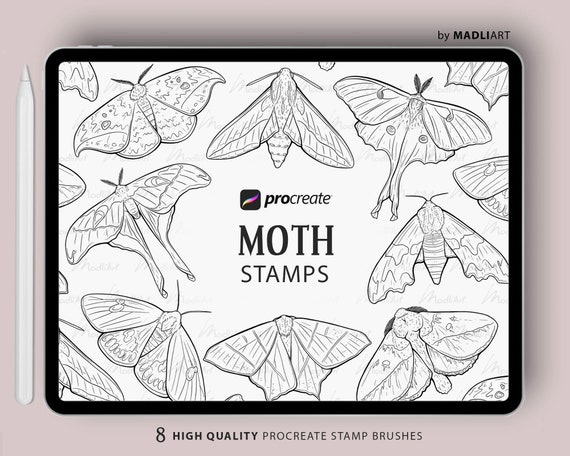 8 Procreate Moth Stamps. Celestial Moths Tattoo Designs. - Etsy