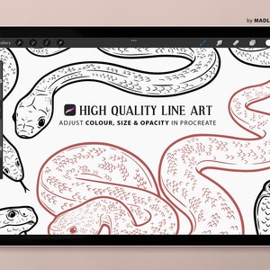 Snake Procreate Stamps. 7 Snake Procreate Brushes. Snake Tattoo Design ...