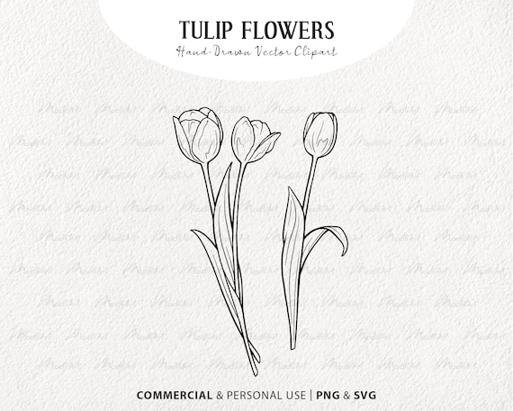 Tulip Flowers Vector Clipart Bundle. 2 Tulips SVG Outline. - Etsy