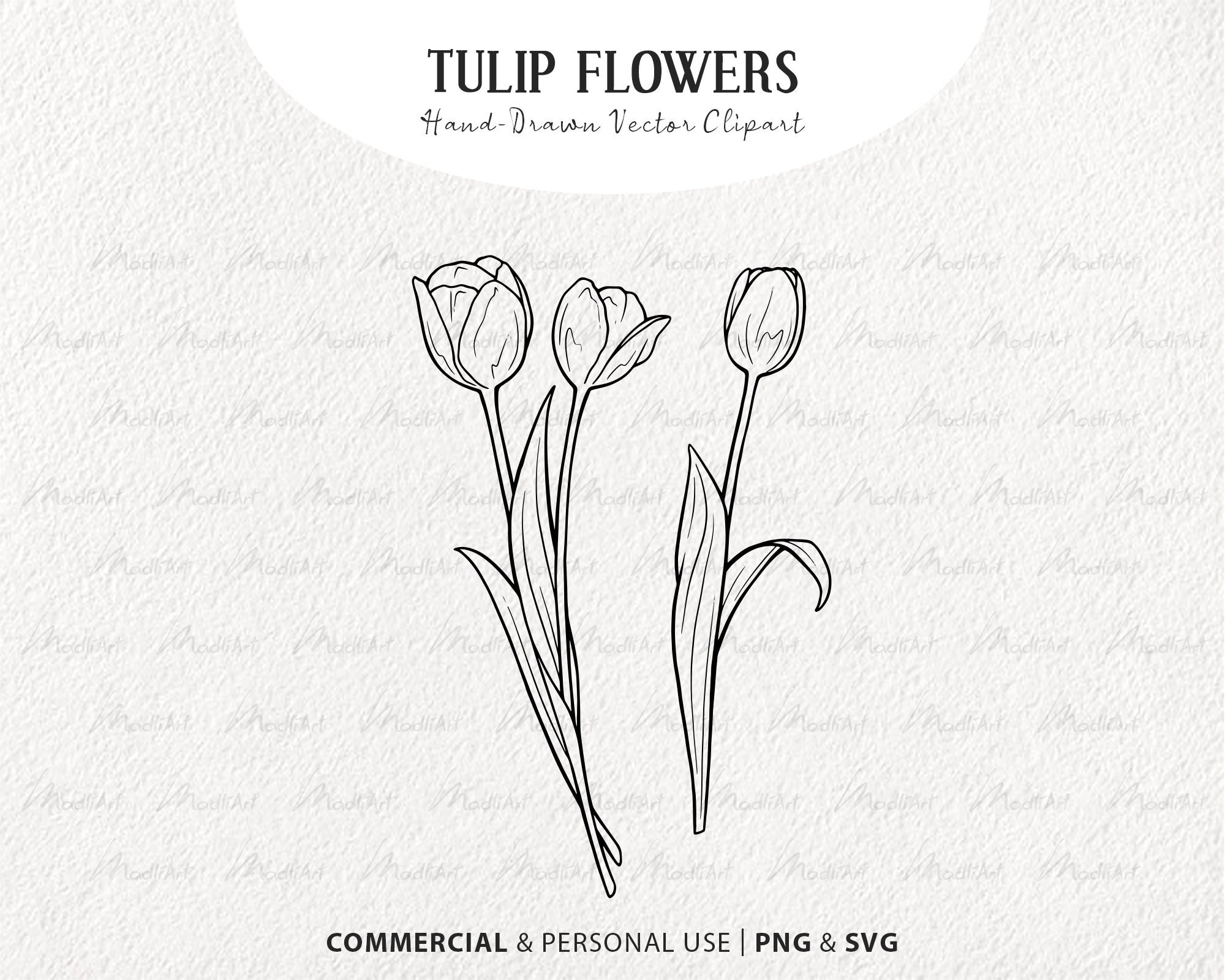 Tulip Flowers Vector Clipart Bundle. 2 Tulips SVG Outline. - Etsy