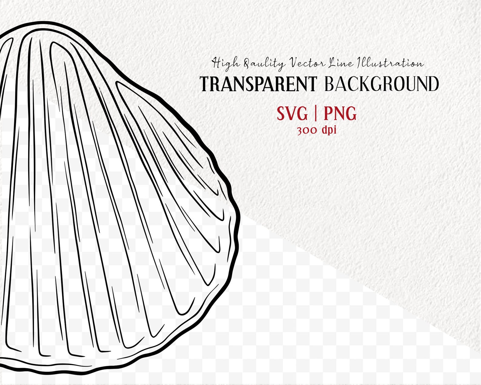 Seashell SVG Clipart. Ocean Themed Vector Line Drawing. Nautical Ocean ...
