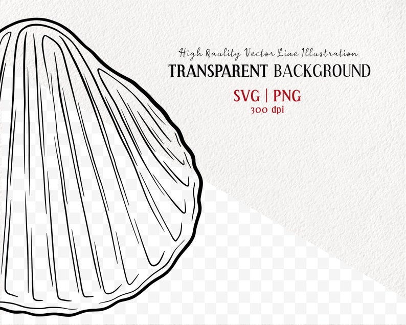 Seashell SVG Clipart. Ocean Themed Vector Line Drawing. Nautical Ocean ...