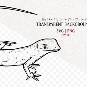 Green Anole Lizard SVG Clipart. Snake Like Lizard Vector Drawing. Blue ...